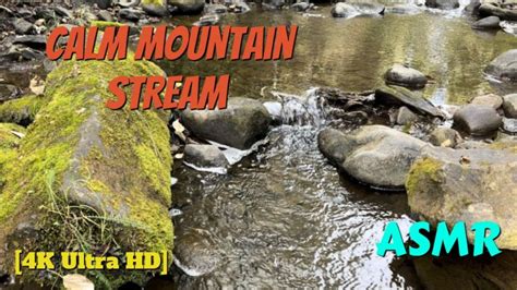 Anna Marie Hutter On Linkedin Gdztfttt A New Episode Of Dame On The Move