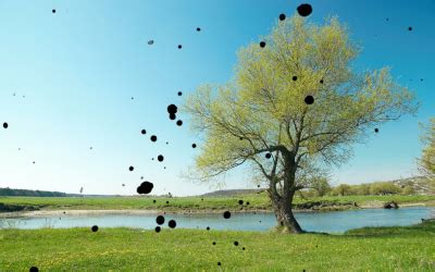 What Causes Black Spots Before The Eyes