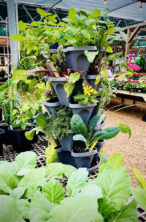 Stack And Grow Stackable Planters