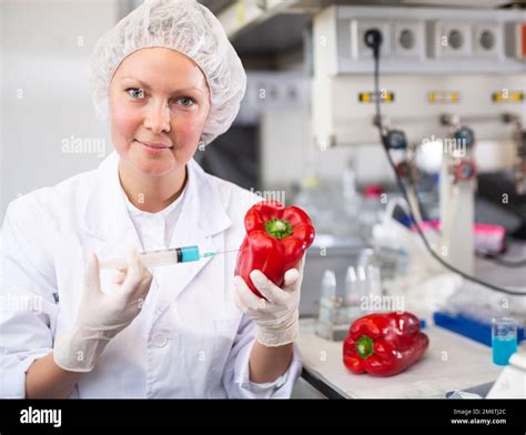 Female Scientist Injecting Reagent From Syringe Into Bell Pepper