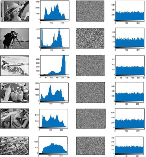 Histogram Of Testing Images And Their Corresponding Cipher Images The Download Scientific