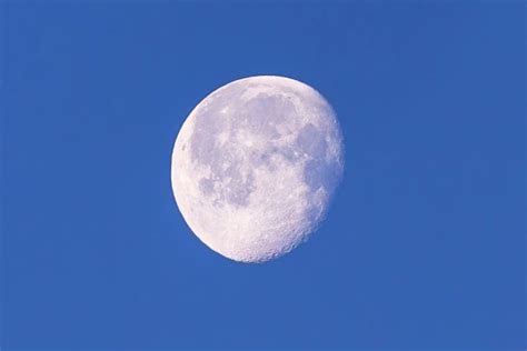 月下影图片素材 月下影设计素材 月下影摄影作品 月下影源文件下载 月下影图片素材下载 月下影背景素材 月下影模板下载 搜索中心