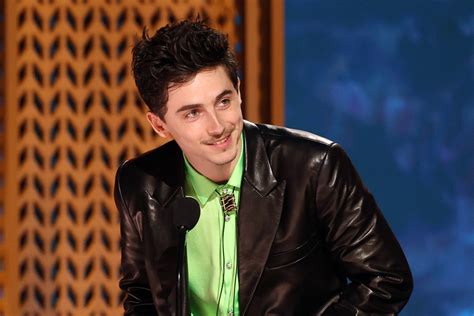 Timothée Chalamet Wins Sag Best Actor For A Complete Unknown