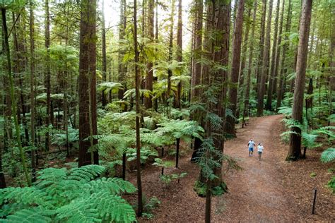 Ultimate Guide To New Zealand Hiking Trails Vr Hotels