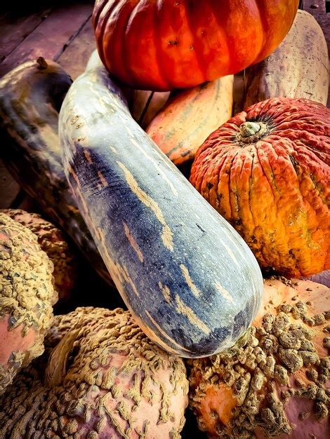 Premium Photo Squash Vegetable