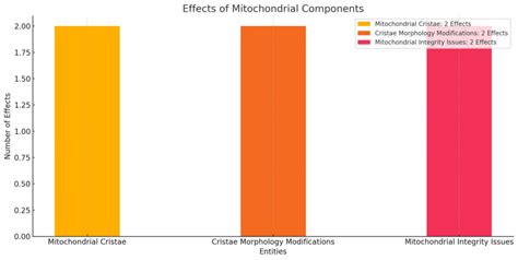 The Role Of Mitochondrial Cristae In Increasing Surface Area For Atp