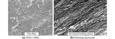 Micro Layered Structure Of Phyllite Sample Download Scientific Diagram