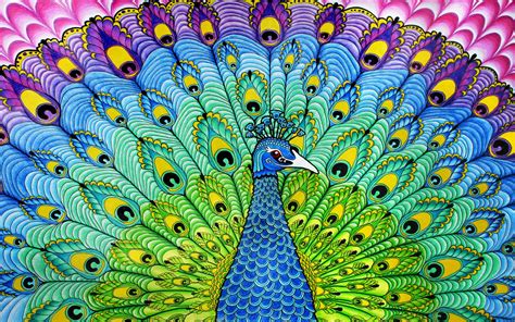 Wallpaper Peacock 63 Images