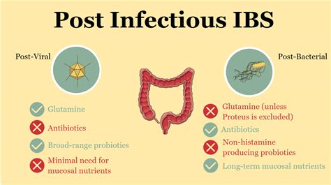 Ibs Symptoms In Men The Male Irritable Bowel Syndrome
