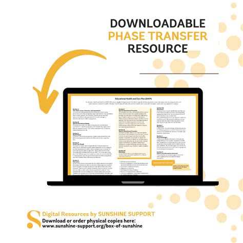 Ehcp Phase Transfer Annual Review Sunshine Support