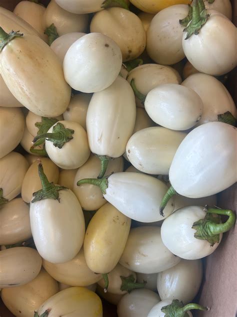 Fresh Garden Eggs African Garden Eggs 2lb Etsy
