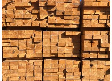 Shop Macrocarpa 200x100x3m Timber Durable Outdoor Wood Nz