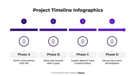 Project Timeline Infographics Template