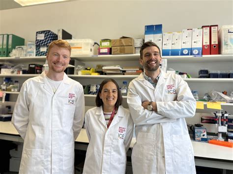 Sajitha V P Posted On Linkedin