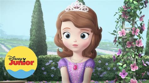 Cuento De La Princesita Sofía Joguar