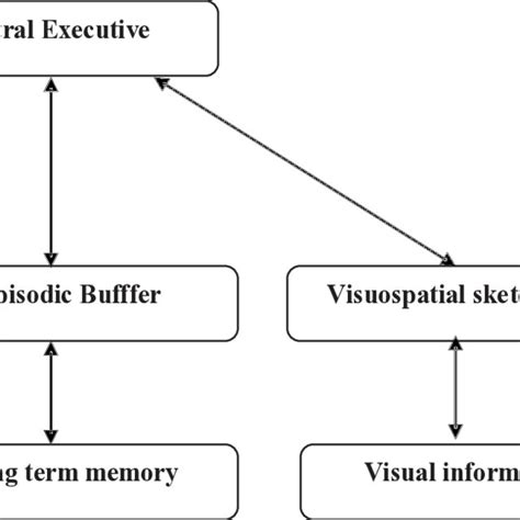 3 Baddeleys Model Of Working Memory Download Scientific Diagram