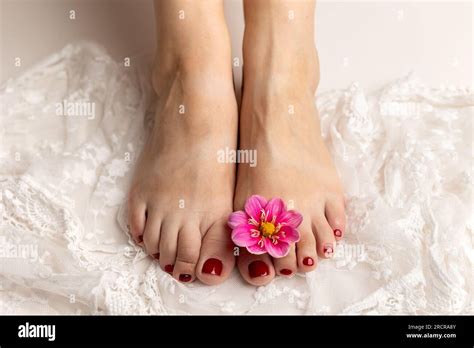 Close Up Of Soft White Female Feet With Beautiful Red Pedicure On White