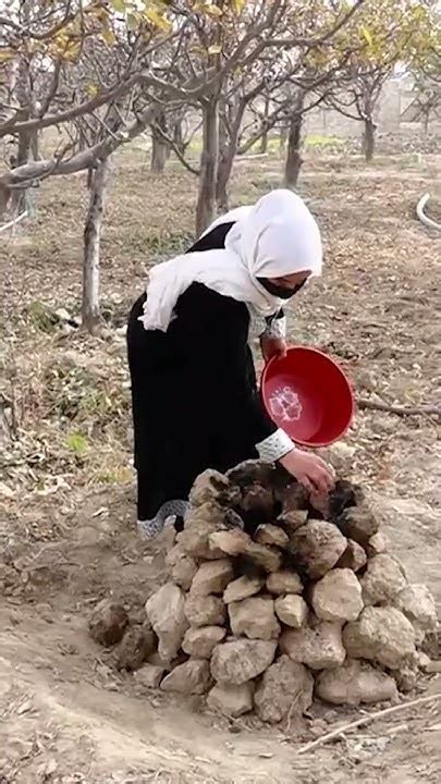 پختن کلوخی Shorts Youtube