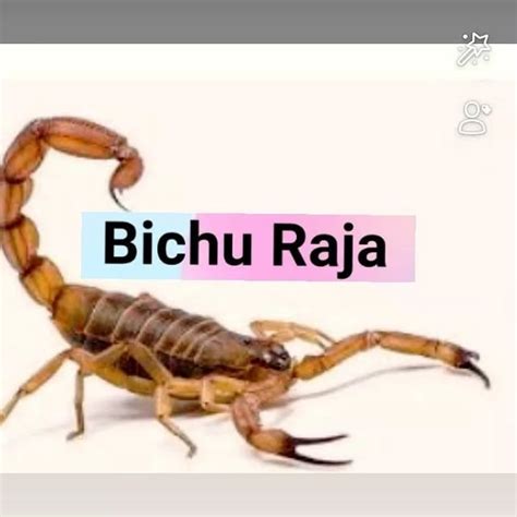 Bichu Raja Bichuraja • Instagram Photos And Videos