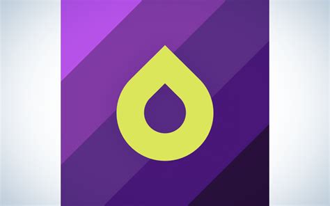 The Best Language Learning Software Of 2023 Popular Science