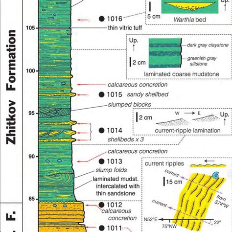 Columnar Section Of The Lower Triassic System In The Abrek Bay Area