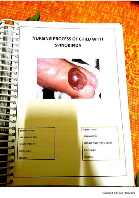 Nursing Process On Spina Bifidapdf Technology And Computing