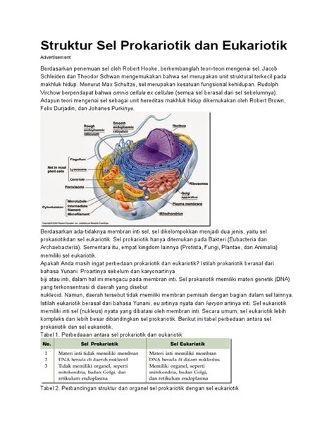 Struktur Sel Prokariotik Dan Eukariotik Pdf