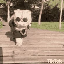 Gangsta Cat S Tenor