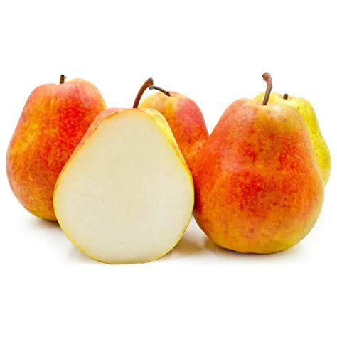 خرید نهال گلابی جنگلی مشخصات قیمت گلابی جنگلی نهالوند