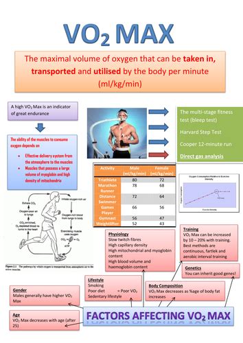 Vo2 Max Sheet Teaching Resources