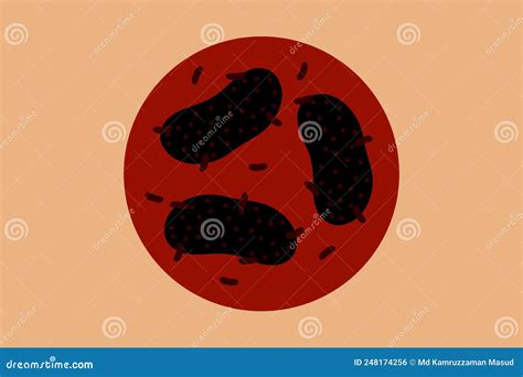 Monkeypox Virus Disease And Coronavirus Disease Symbol Vector