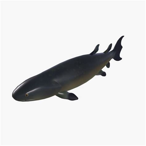 Eusthenopteron Fish 3d Turbosquid 2011261
