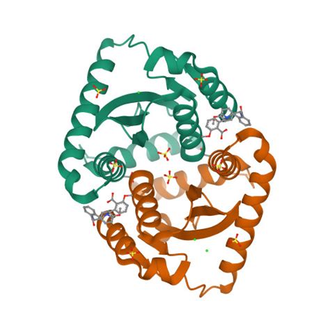 Rcsb Pdb 4cif Interrogating Hiv Integrase For Compounds That Bind A