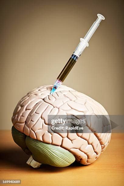 Hypodermic Needle Model Photos And Premium High Res Pictures Getty Images