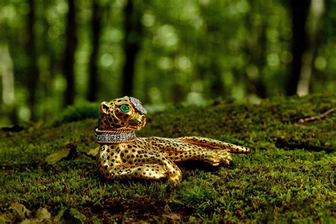 Max Mccormack Communications Consultant And Writer