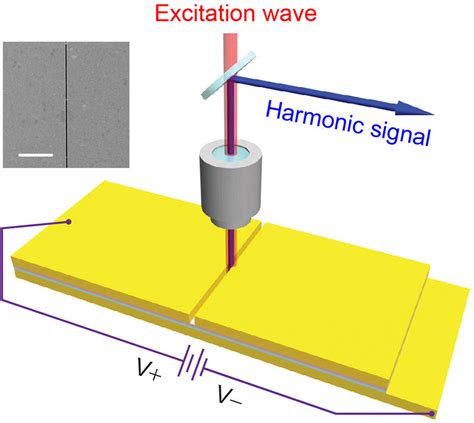 Backward Phase Matching Rethinking Nonlinear Optical Rules