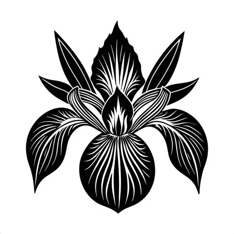 Characteristics Of The Iris Flower 60617026 Vector Art At Vecteezy