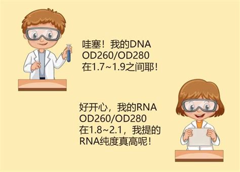 Rna与蛋白质的爱恨情仇