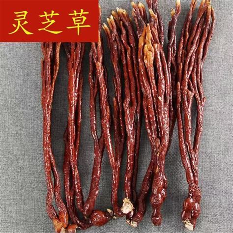 灵芝草批发 安徽亳州谯城区灵芝 4590元斤灵芝草中药材长 一亩田