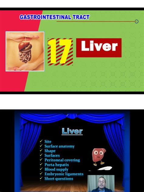 Git 17 Liver ايمن خنفور Pdf