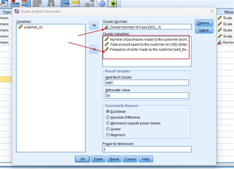 Silhouette Cluster Analysis In Spss Explained Performing Repor