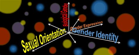 😎 Problems With Gender Binary Sexual Orientation Binaries And