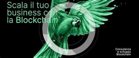 7 Figure Lavorative Di Una Software House Blockchain Nut For Me