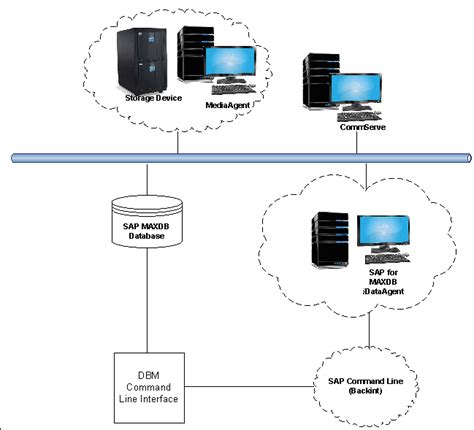 sap maxdb