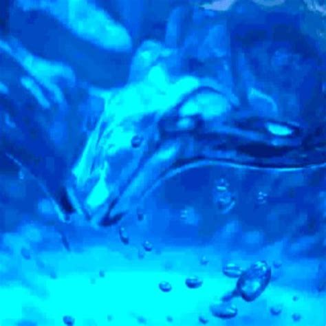 Stream φ゜ ゜♪ 鸡。 但这还不是全部，我们与紧急情况部签订了合同，现在紧急情况部正在跳跃骰子。 By 拉鲁奇