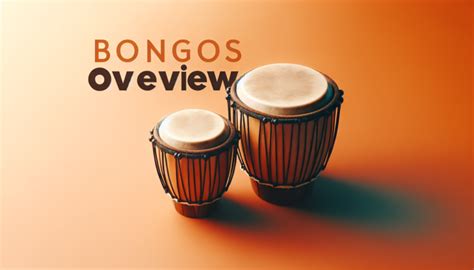 A Comprehensive Overview Of Bongos Everything You Need To Know Drum