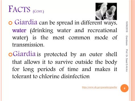 Giardiasis Pptx