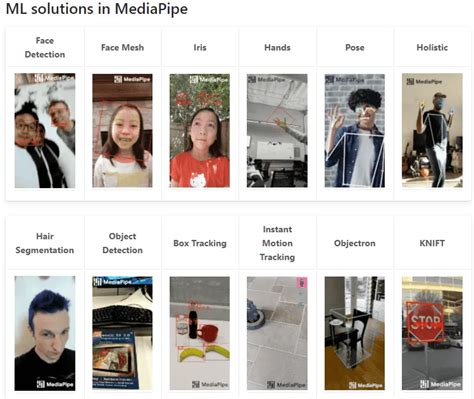 Workout Pose Estimation Using Opencv And Mediapipe Algoscale
