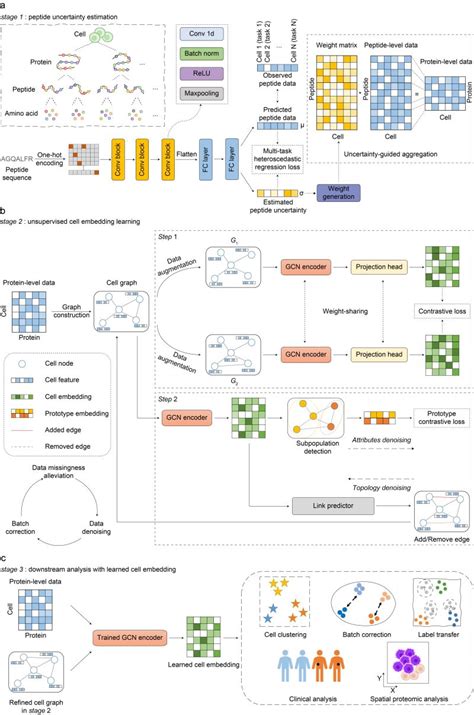 Proteomics Bioinformatics Singlecellanalysis Scprotein