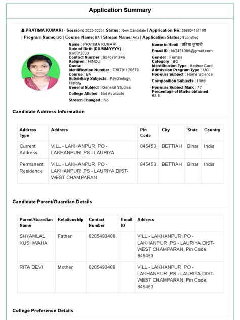 Application Summary Pdf